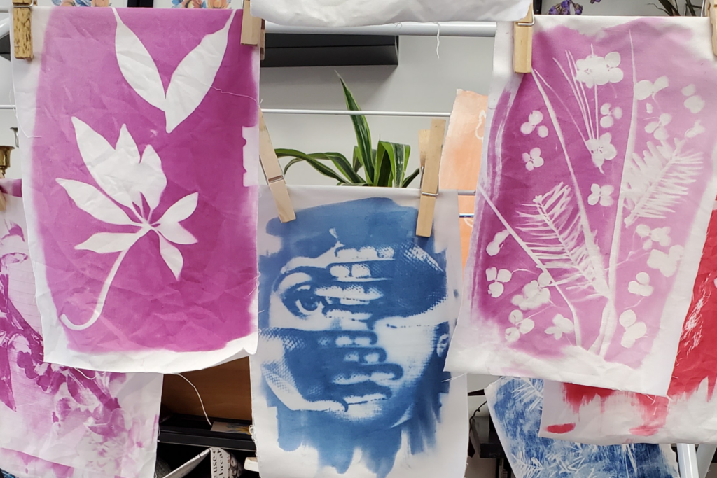 Intro to Solar Printing - Renata Britez - Honeybee Folk School - Canada